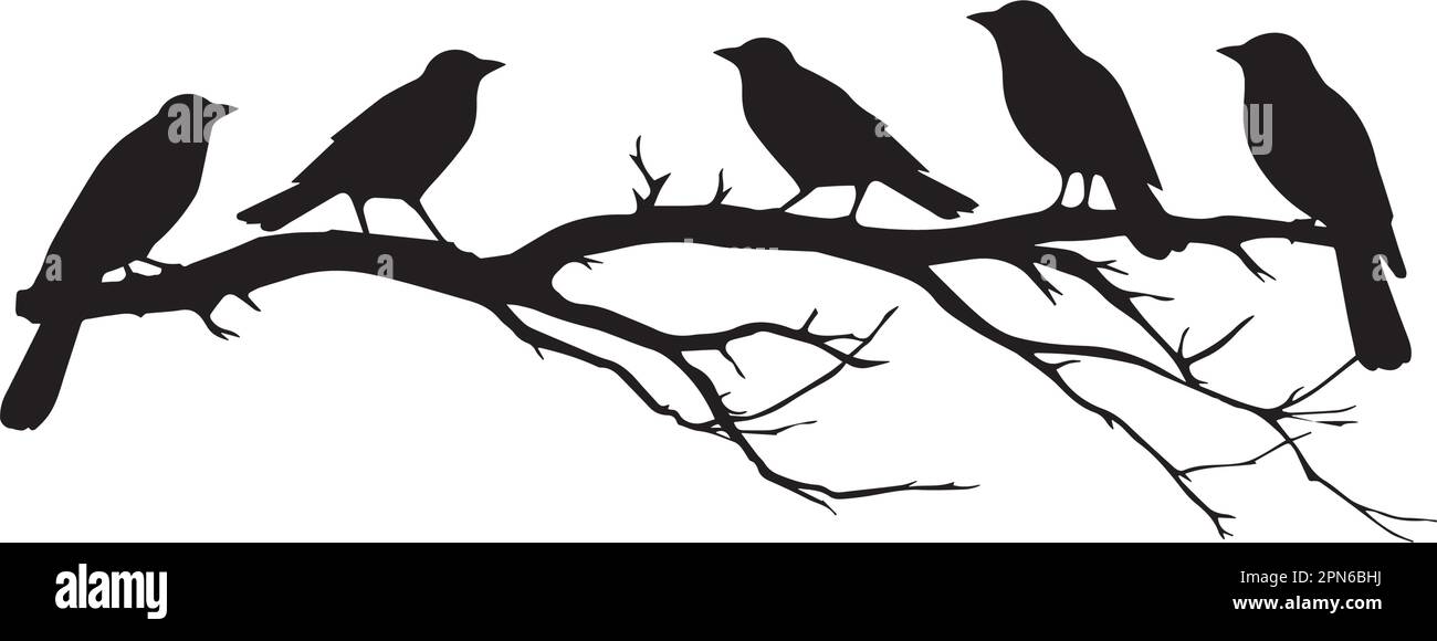 Raven bird on branch, vector. Raven bird illustration isolated on white ...