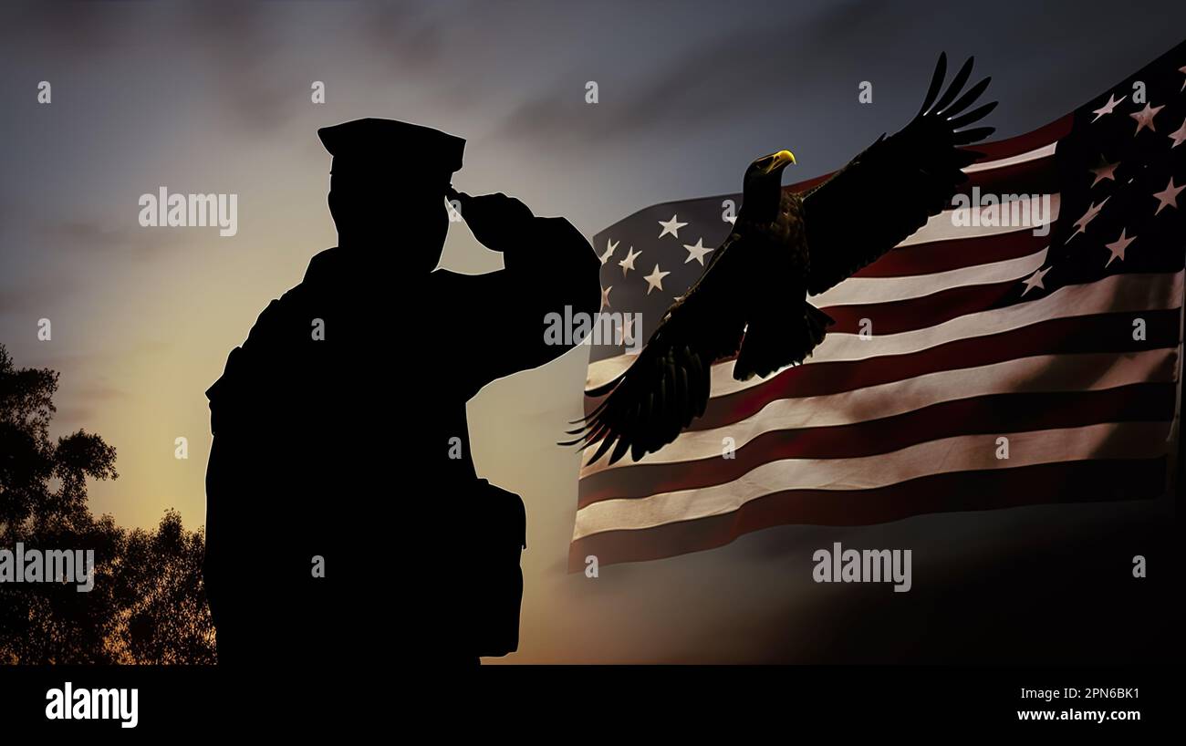 silhouette of the military, honoring the USA flag, american military ...