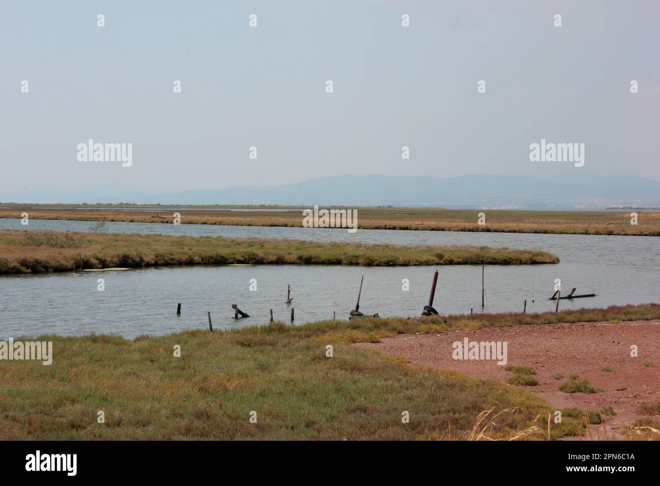 Delta Evros National Park, Evros Thraki Greece Stock Photo - Alamy