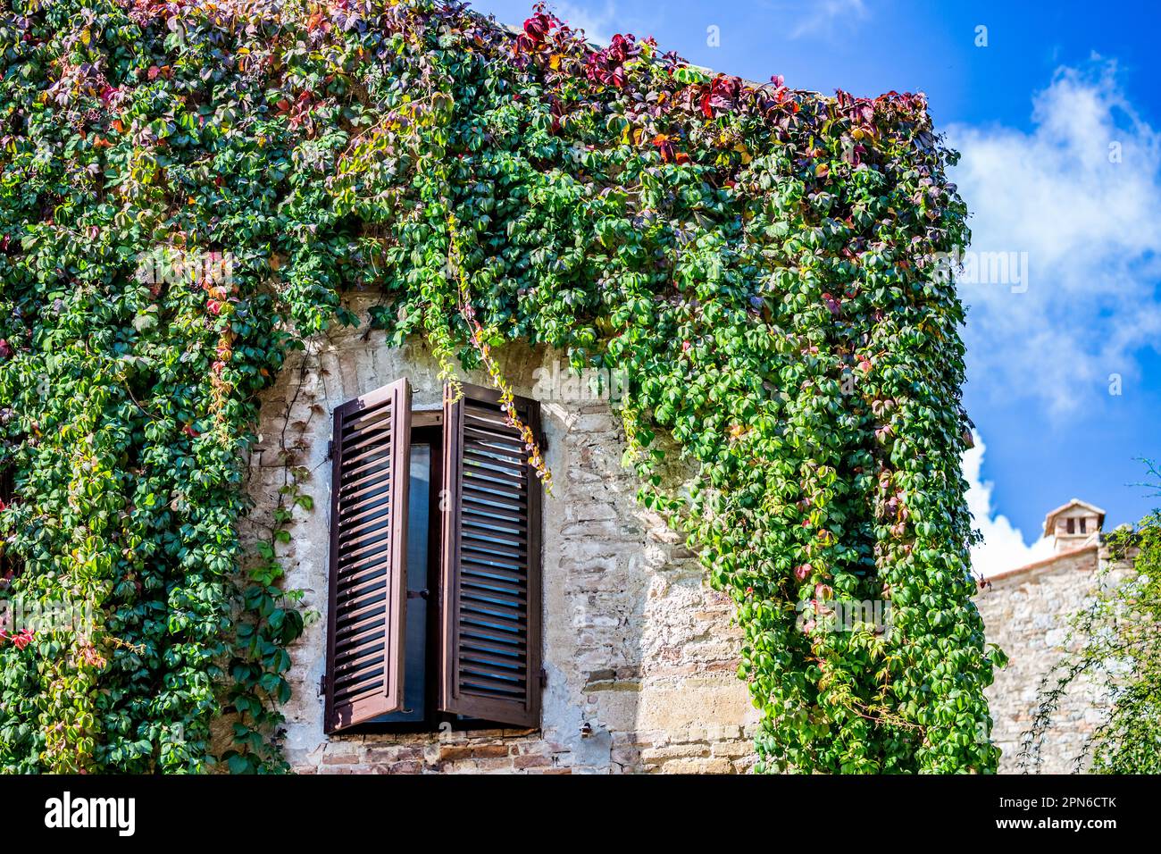 Scenery beautiful old house with ivy growing from the roof, wooden ...