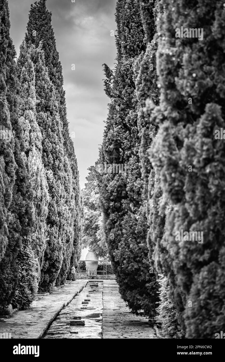 Black and white, monochromatic view from botanical sea garden, Balchik ...