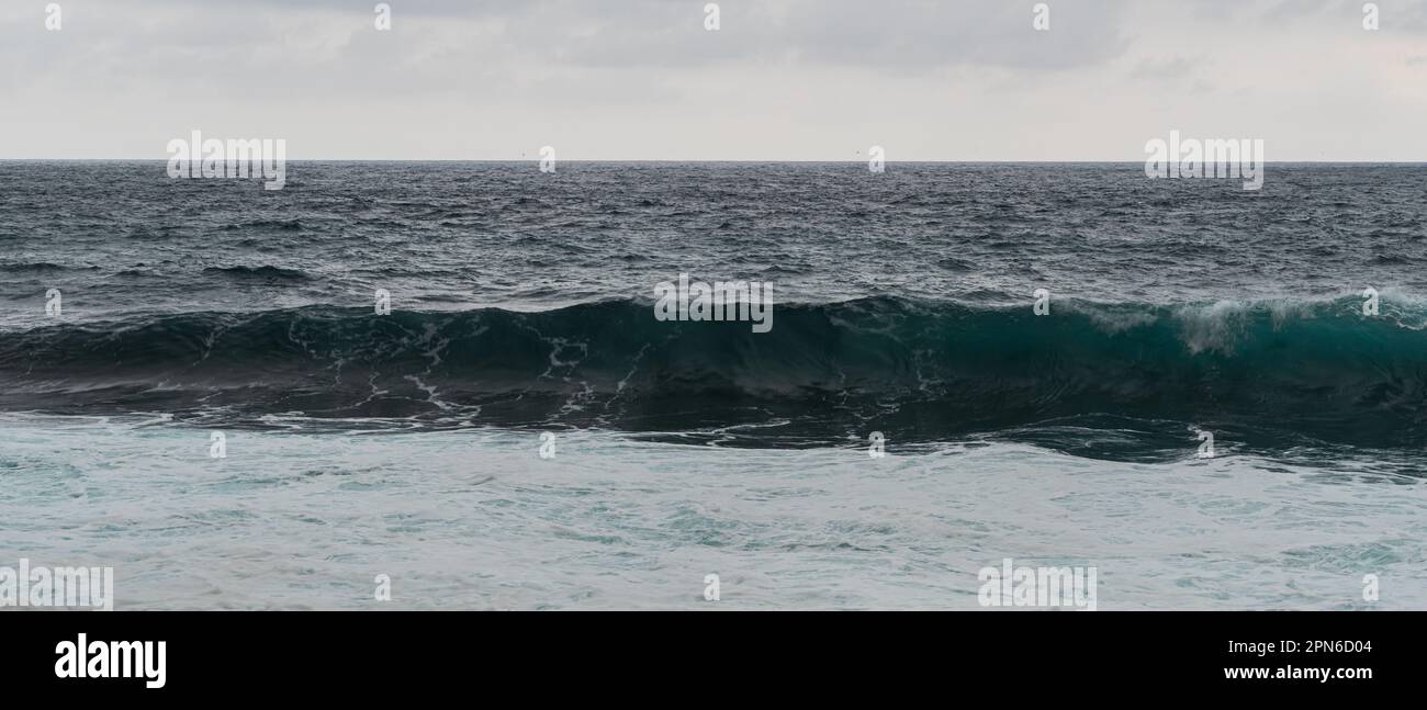 In wild madeira hi-res stock photography and images - Alamy