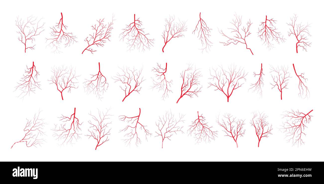 Human eye blood veins vessels silhouettes vector illustration set ...