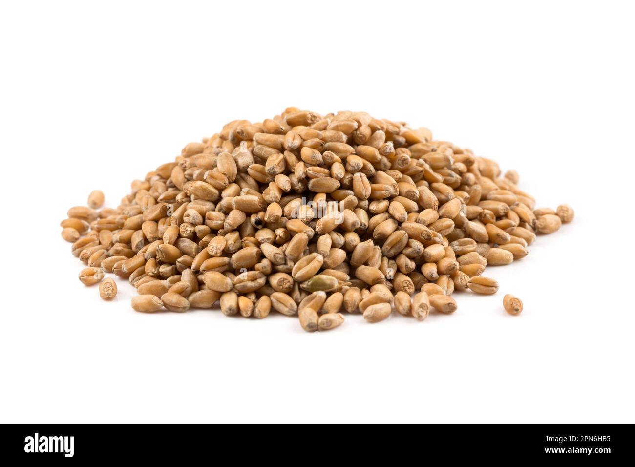 Spelt grain dinkel wheat isolated on white background Stock Photo - Alamy