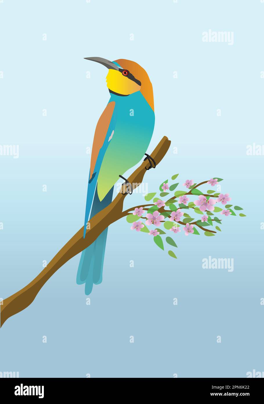 European bee Stock Vector Images - Alamy