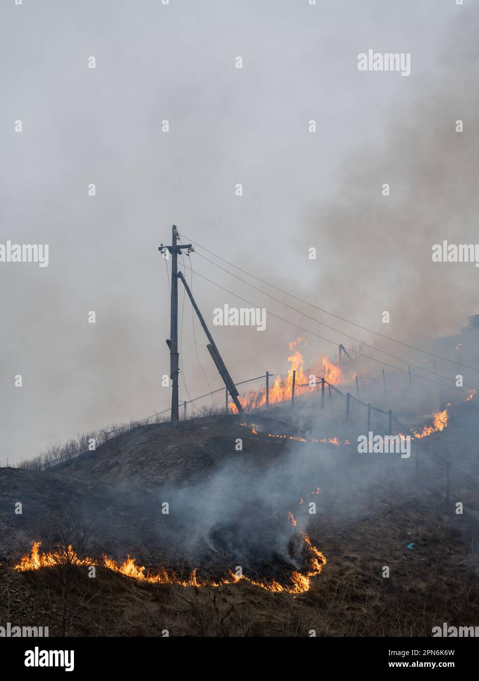 Dry grass burns during drought weather. Natural disaster Stock Photo ...