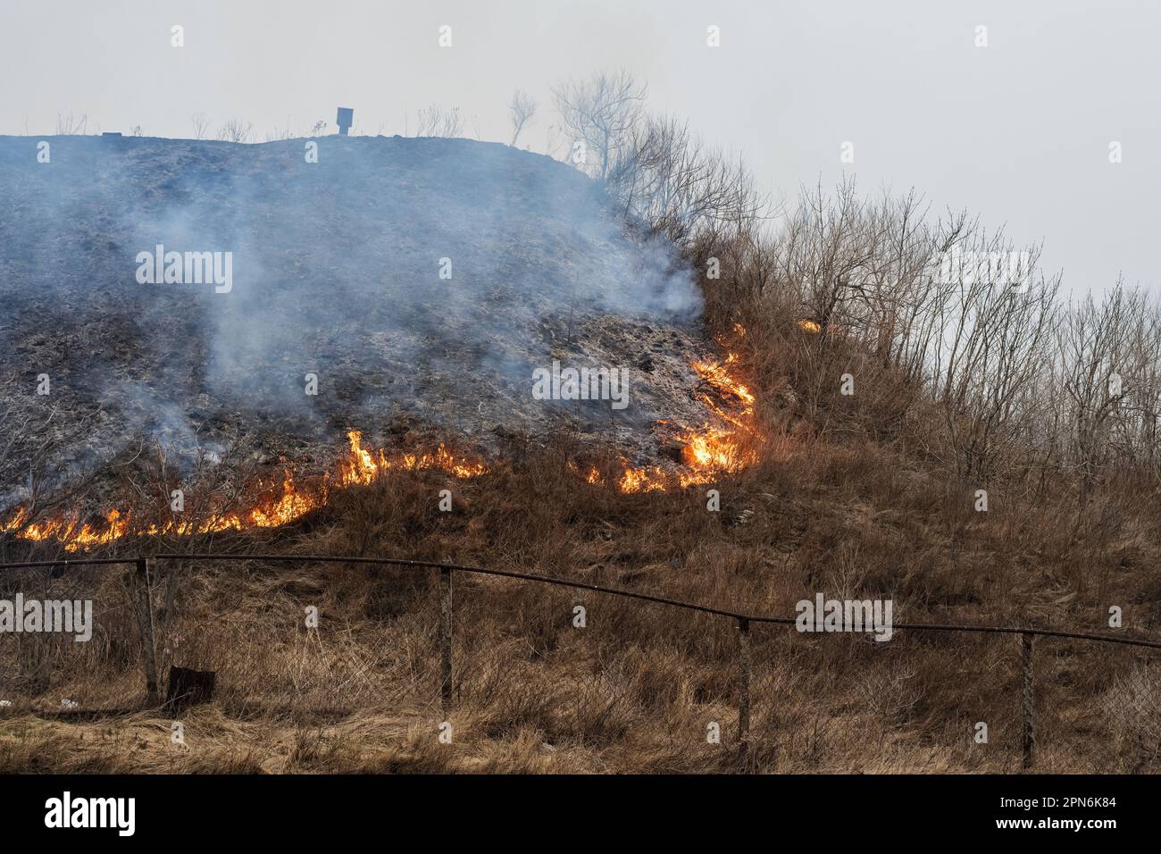Dry grass burns during drought weather. Natural disaster Stock Photo ...