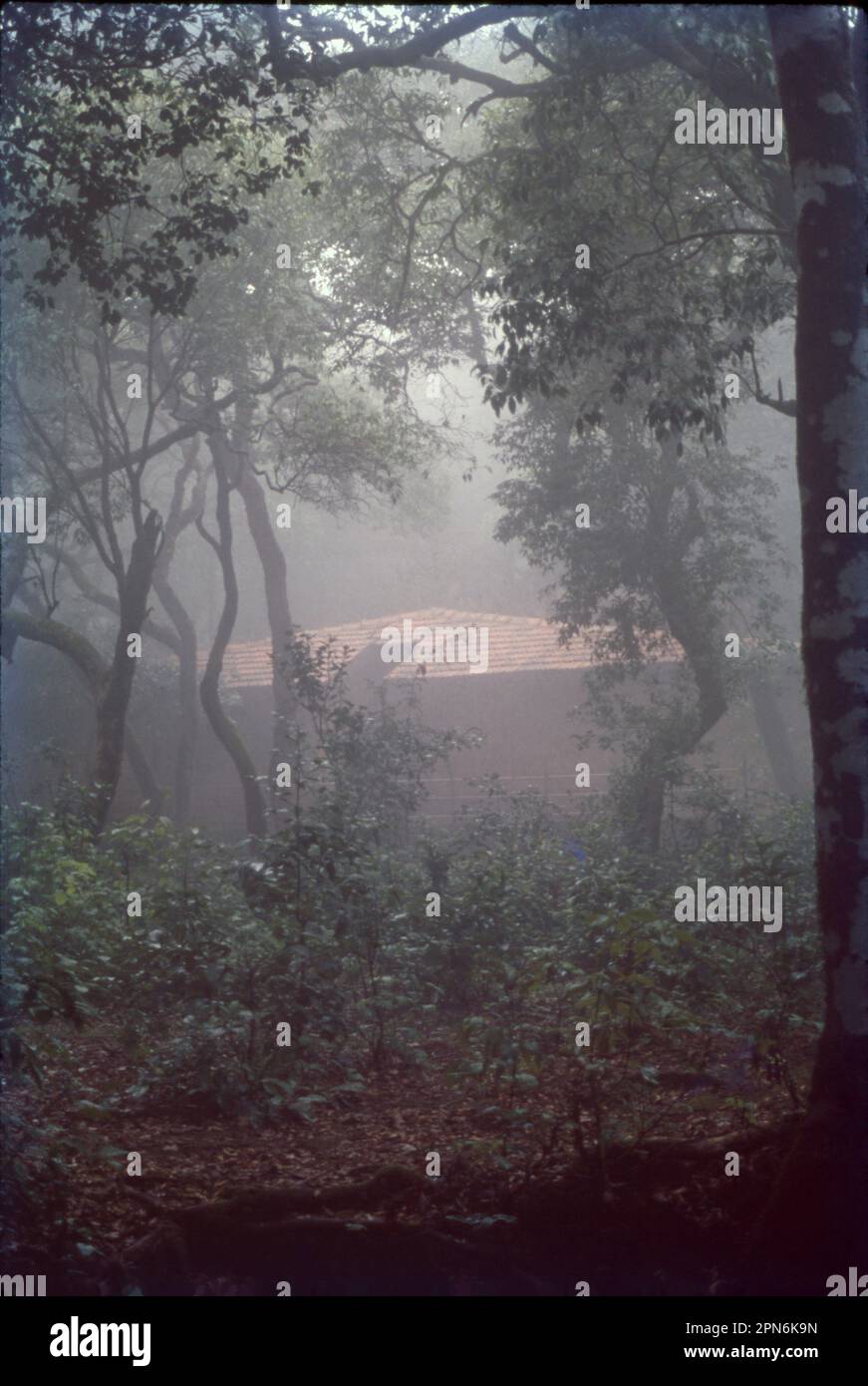 Mahabaleshwar is the most popular hill station in Maharashtra. It was ...