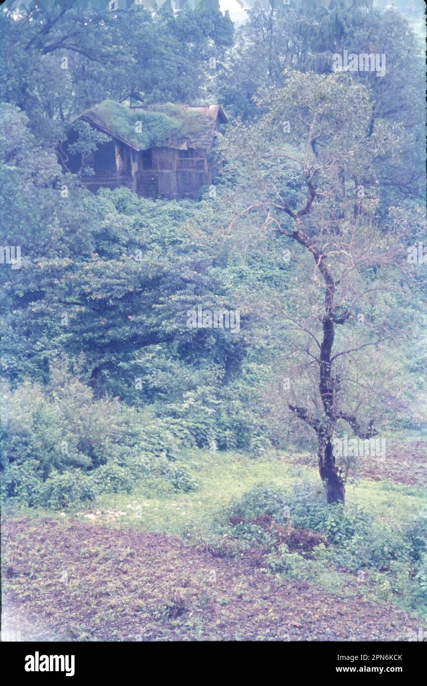Small Hut in Forest Near Nashik, Maharashtra, India Stock Photo - Alamy