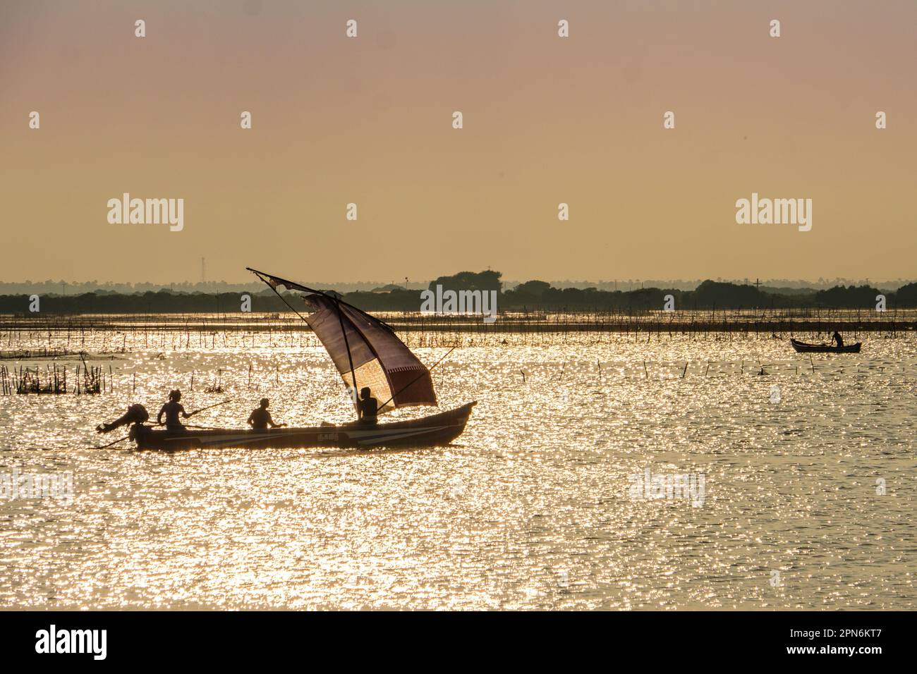 A traditional Fishing boat on the laggoon ,Jaffna, Sri Lanka Stock Photo - Alamy