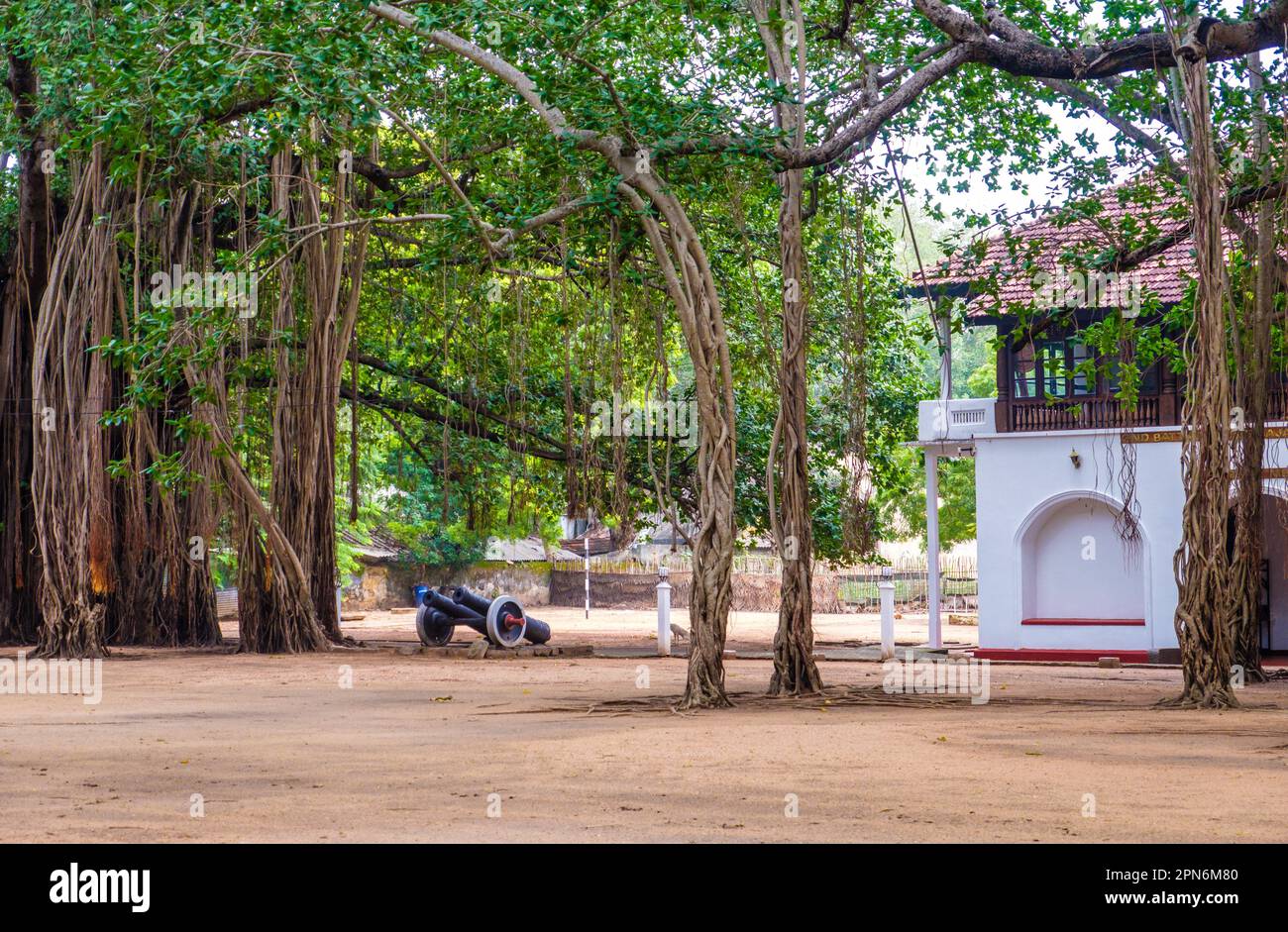Fort Frederick in Trincomalee, Sri Lanka Stock Photo - Alamy