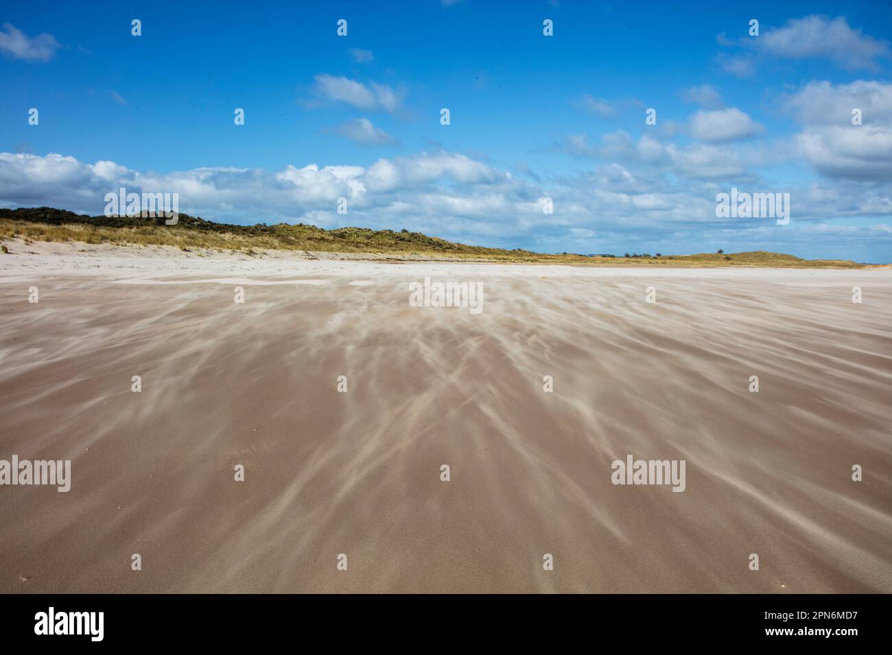 Strong winds blowing sand around on the Beach Stock Photo - Alamy