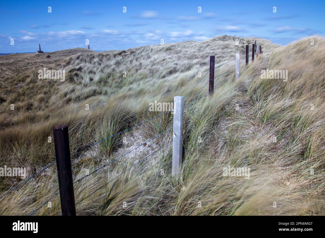 Natural dunes and grasslands hi-res stock photography and images - Alamy