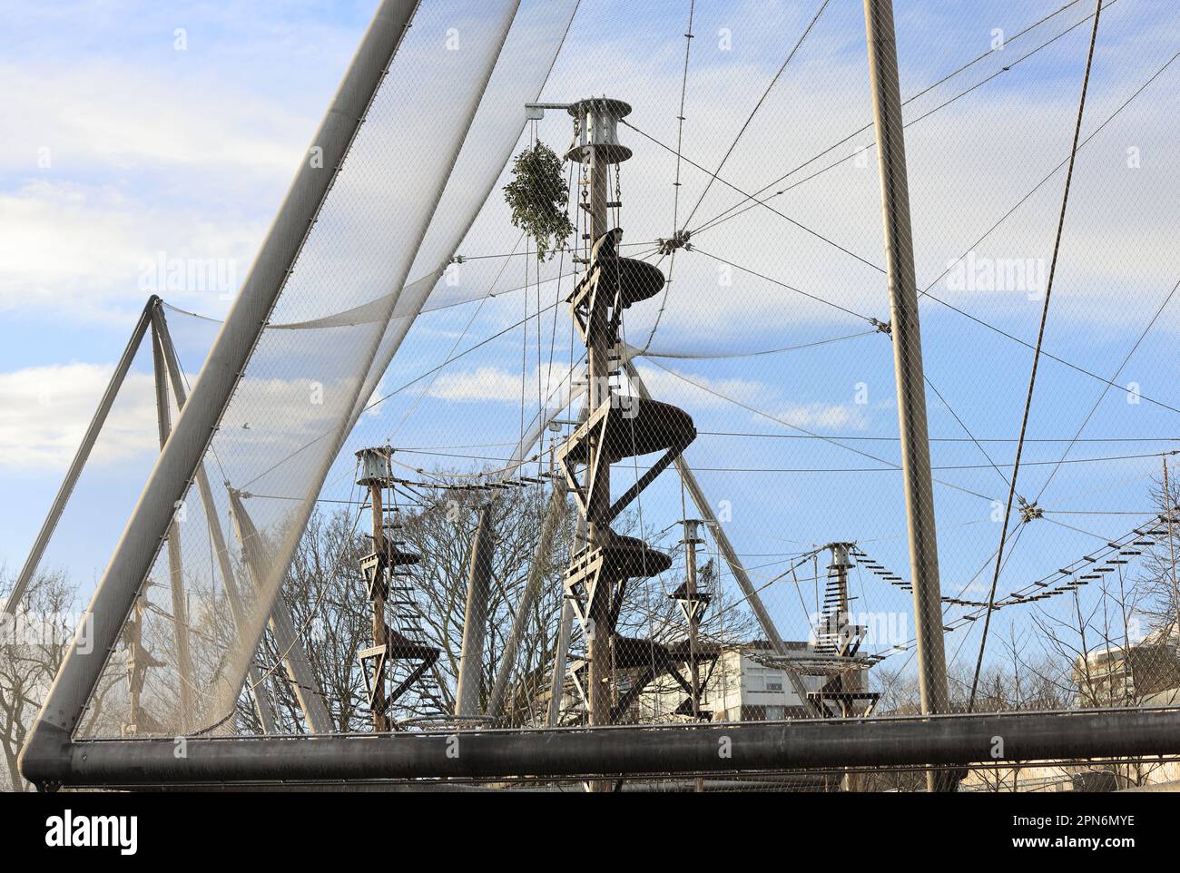 Colobus monkeys (family Cercopithecidae), in Monkey Valley, the new ...