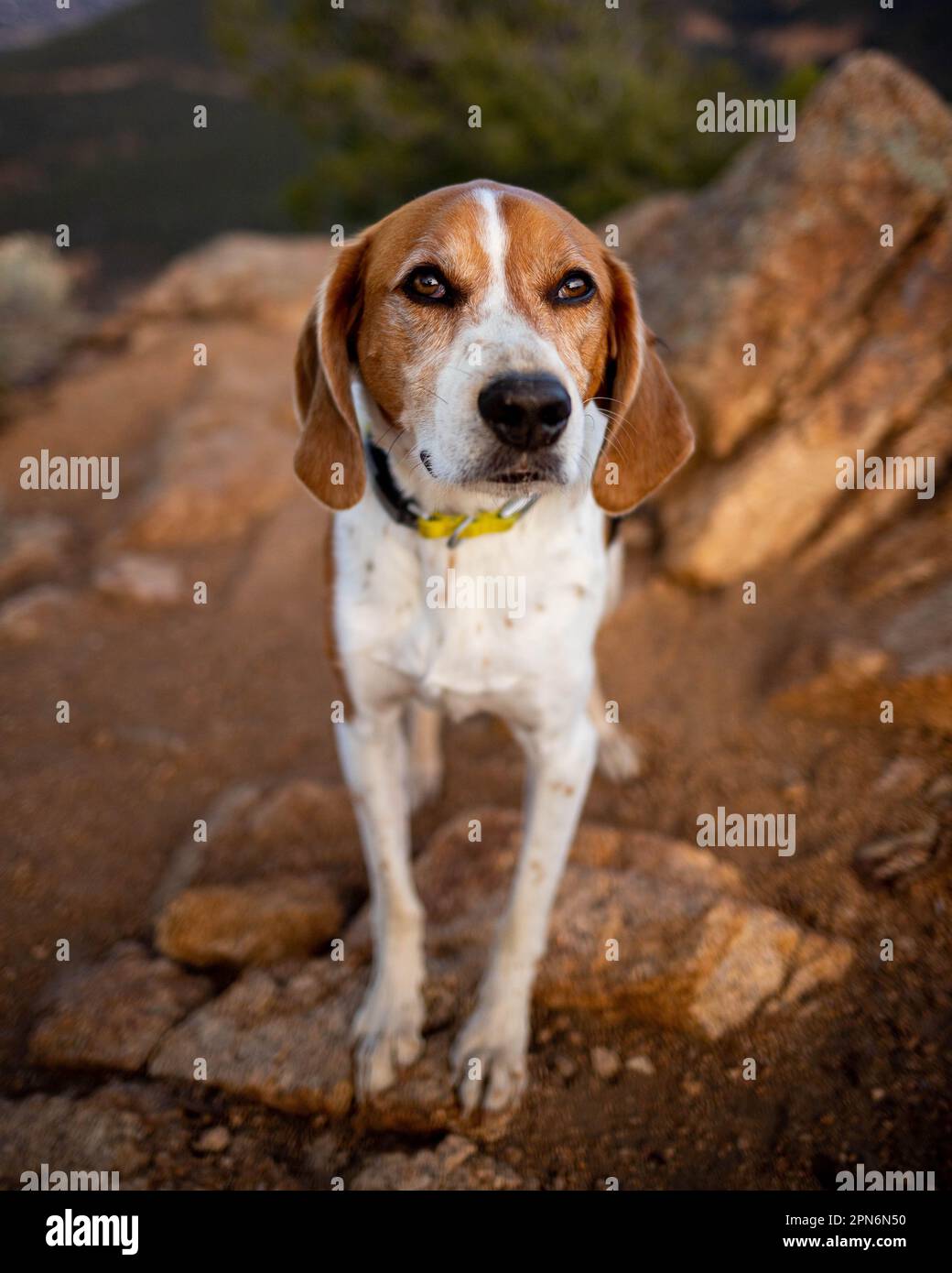 North cheyenne canyon park hi-res stock photography and images - Alamy