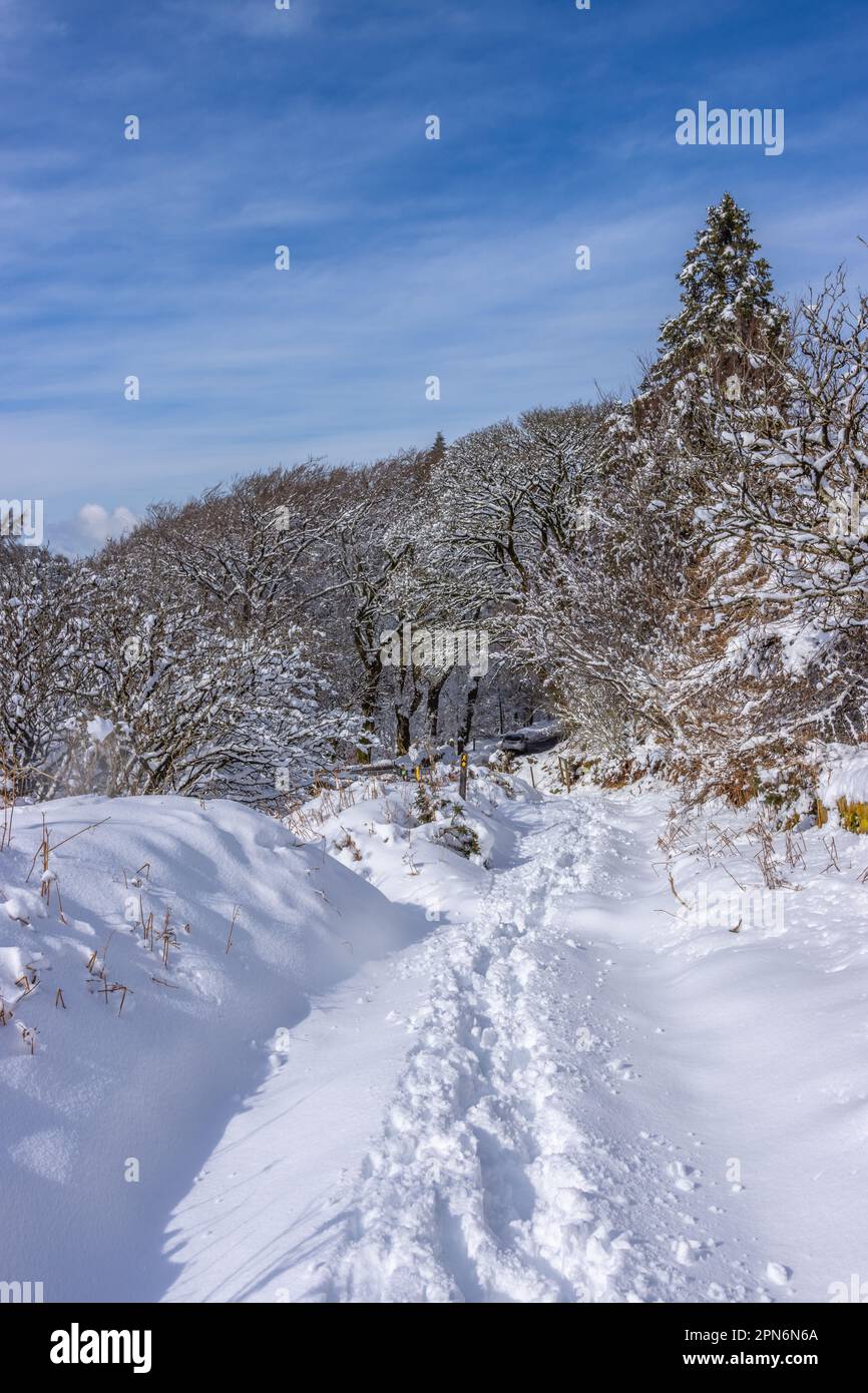 A scenic winter pathway through a snow-covered landscape lined with ...