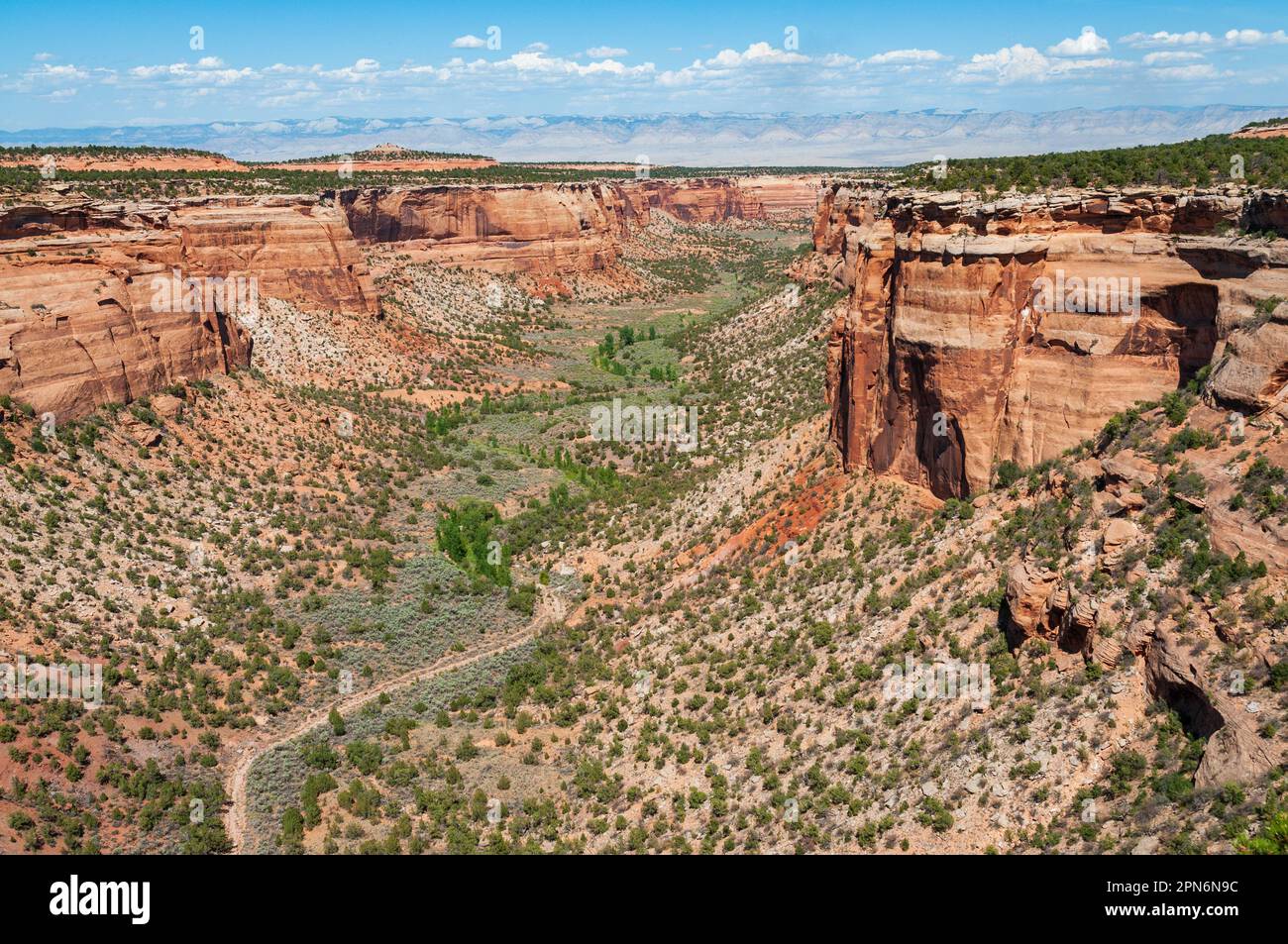 Colorado National Monument in Colorado Stock Photo - Alamy