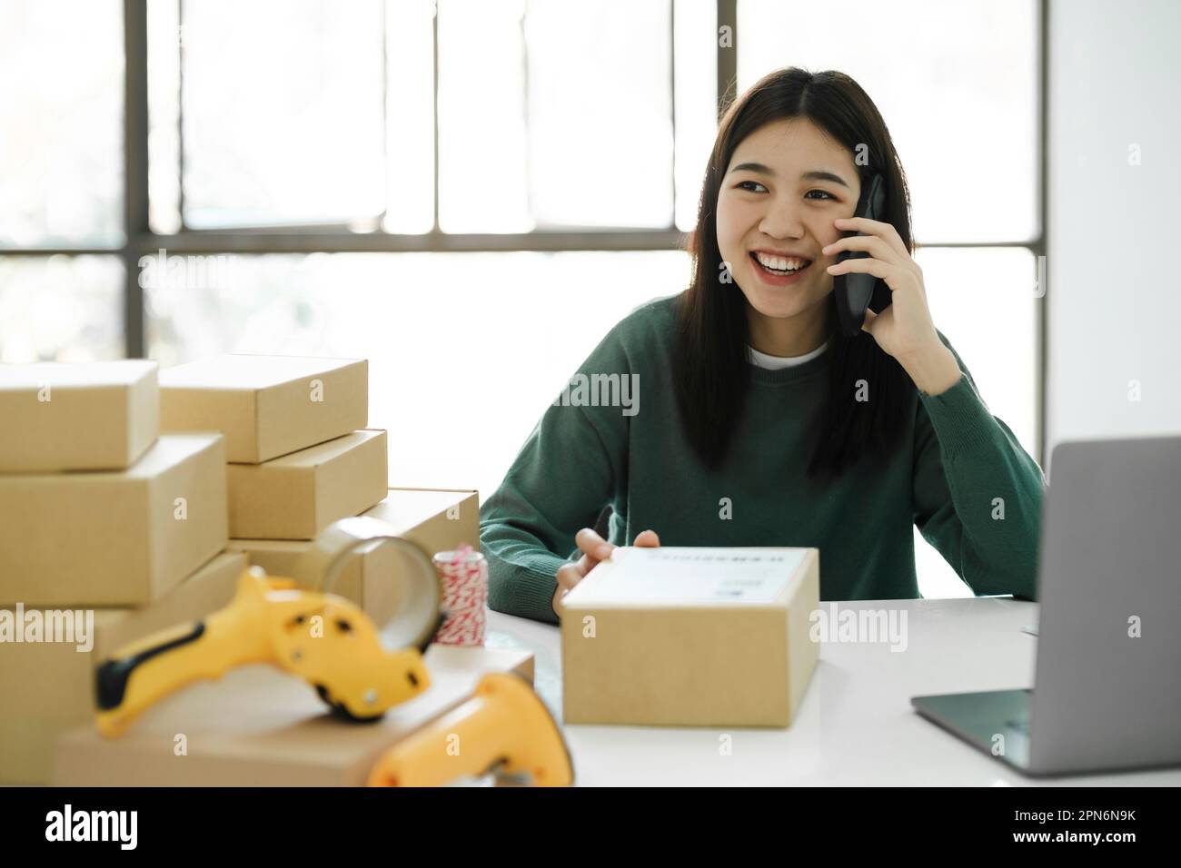 Business woman working laptop parcel hi-res stock photography and ...