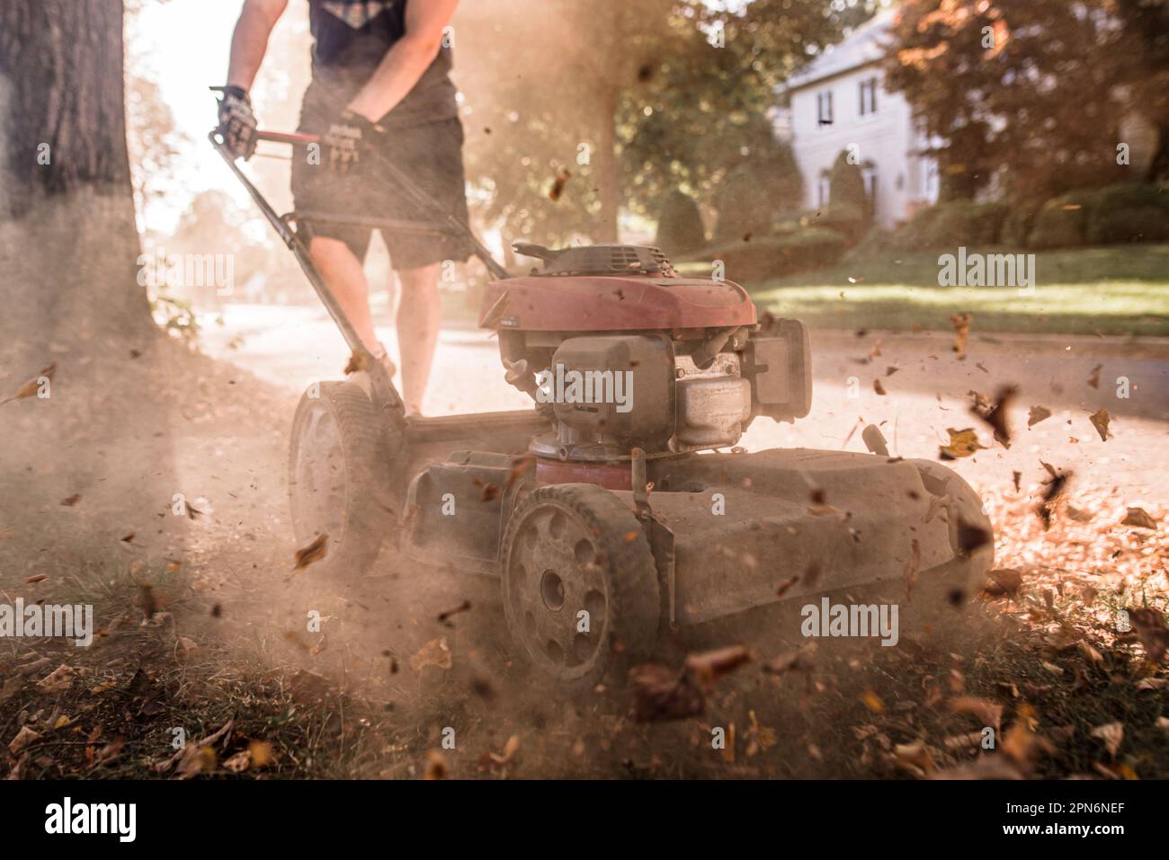 Trees and mower hi-res stock photography and images - Alamy