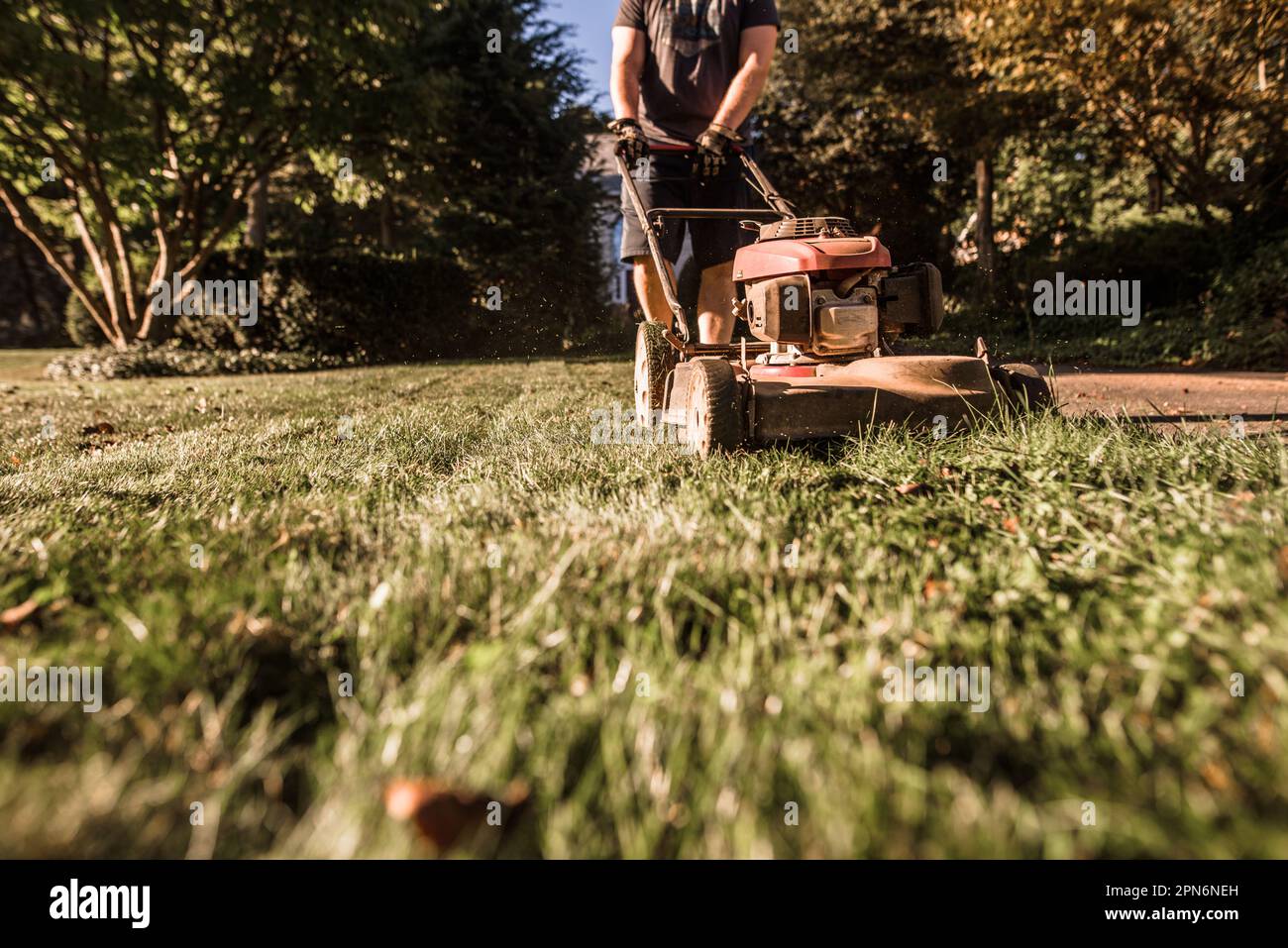 Trees and mower hi-res stock photography and images - Alamy