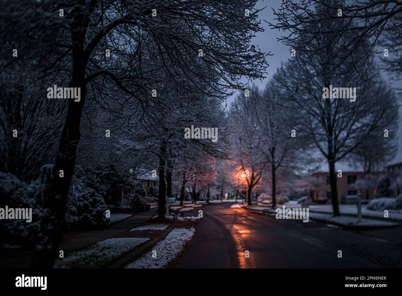 Snow covered tree lined street at dusk with street light in winter ...