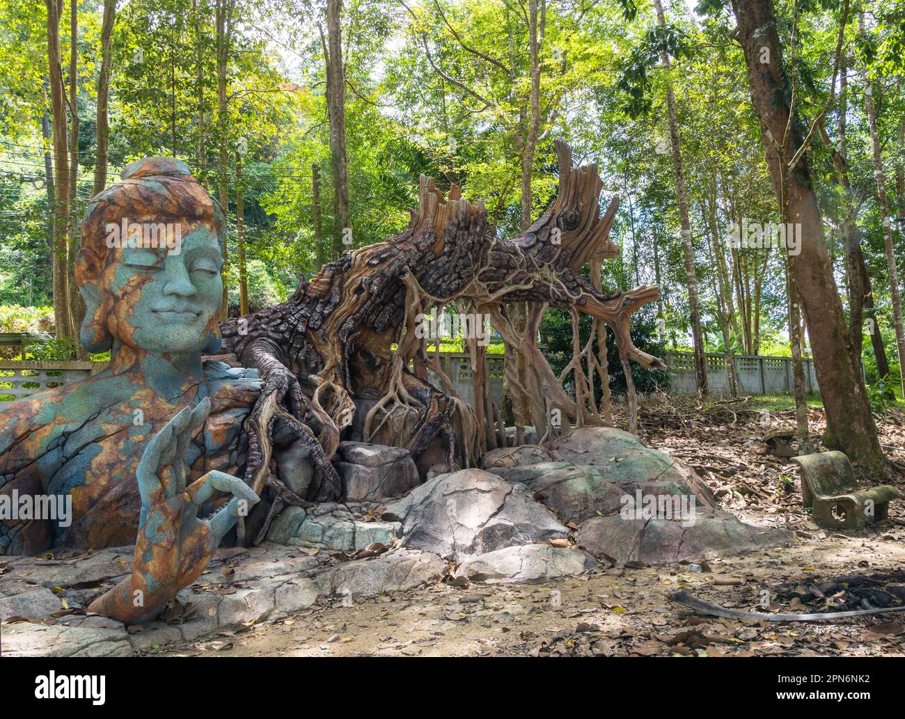 Buddha image in a forest of Thailand Stock Photo - Alamy