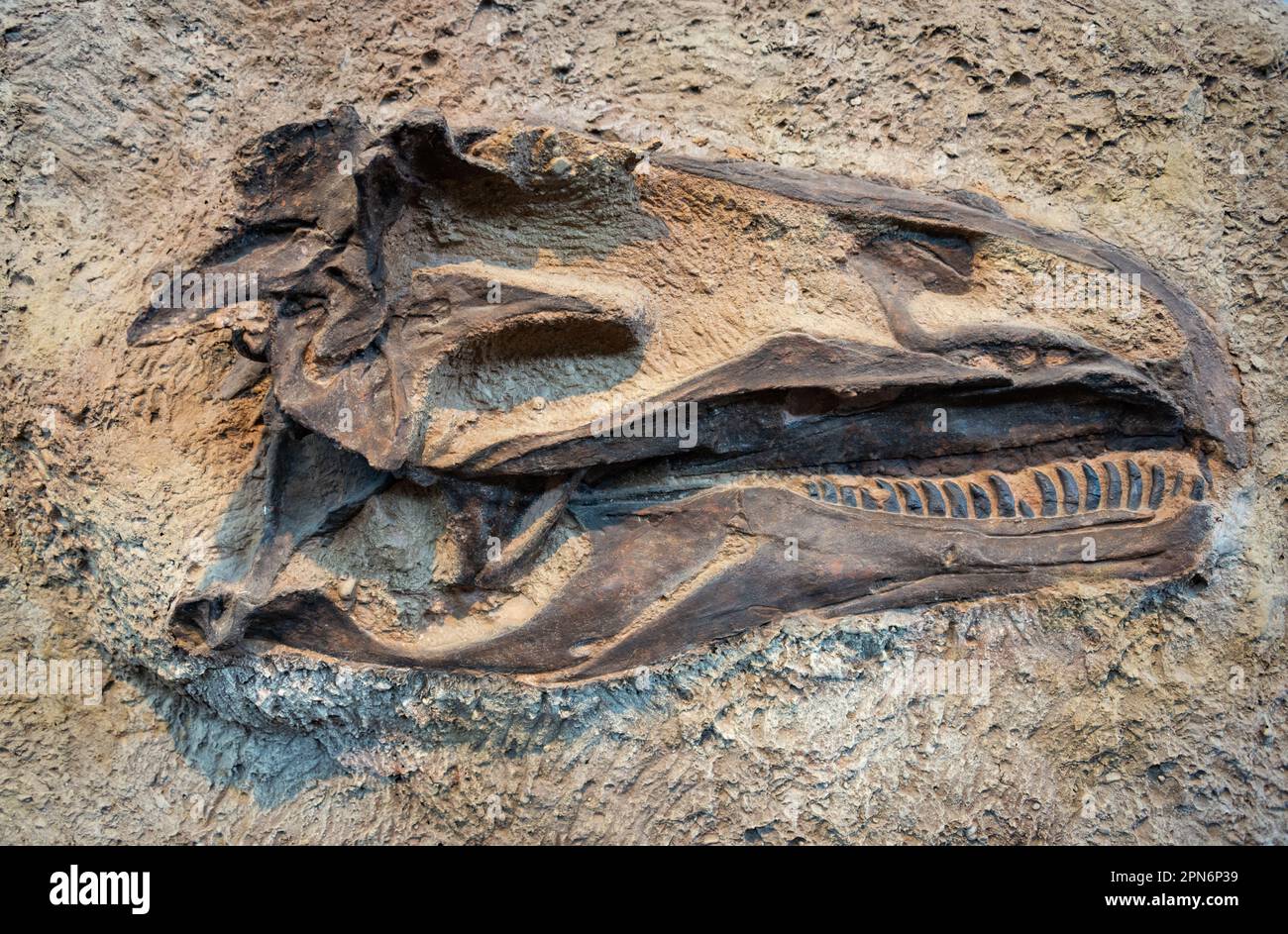 Dinosaur National Monument in Colorado Stock Photo - Alamy