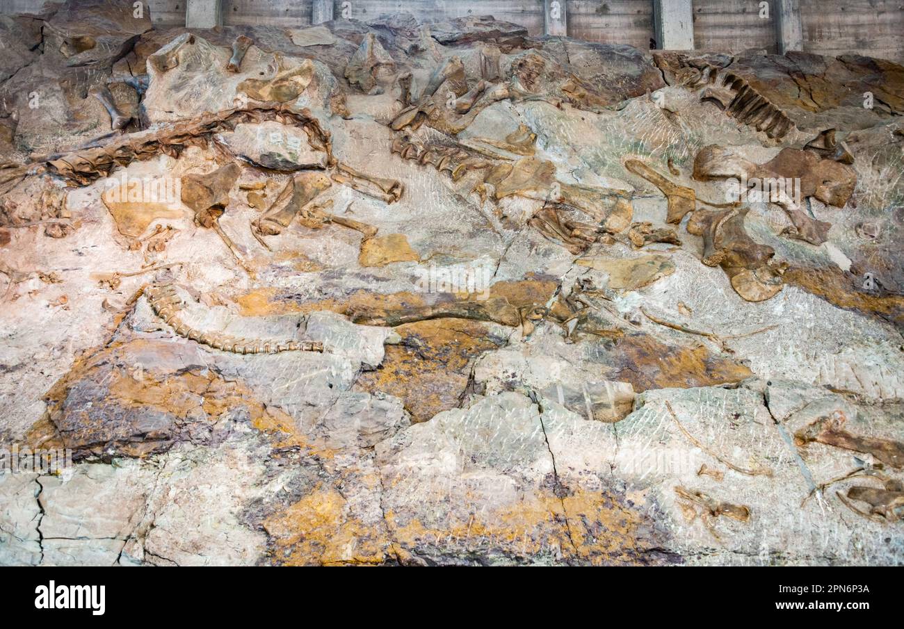 Dinosaur National Monument in Colorado Stock Photo - Alamy