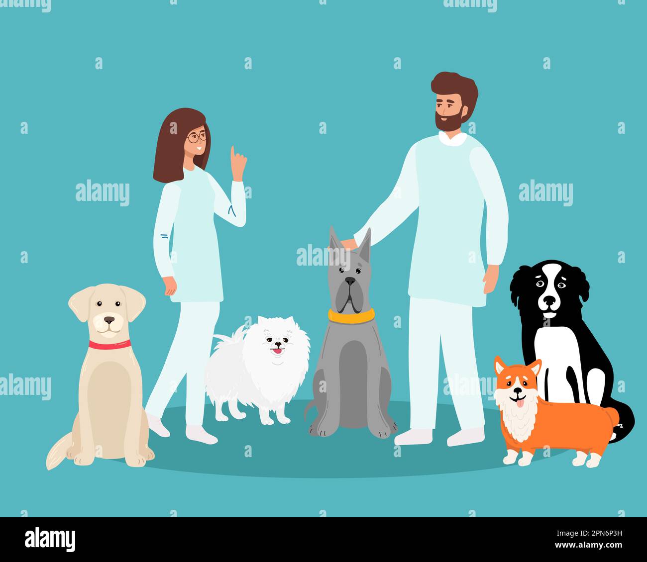 Profession veterinarian. Woman vet holds a dog on an isolated ...