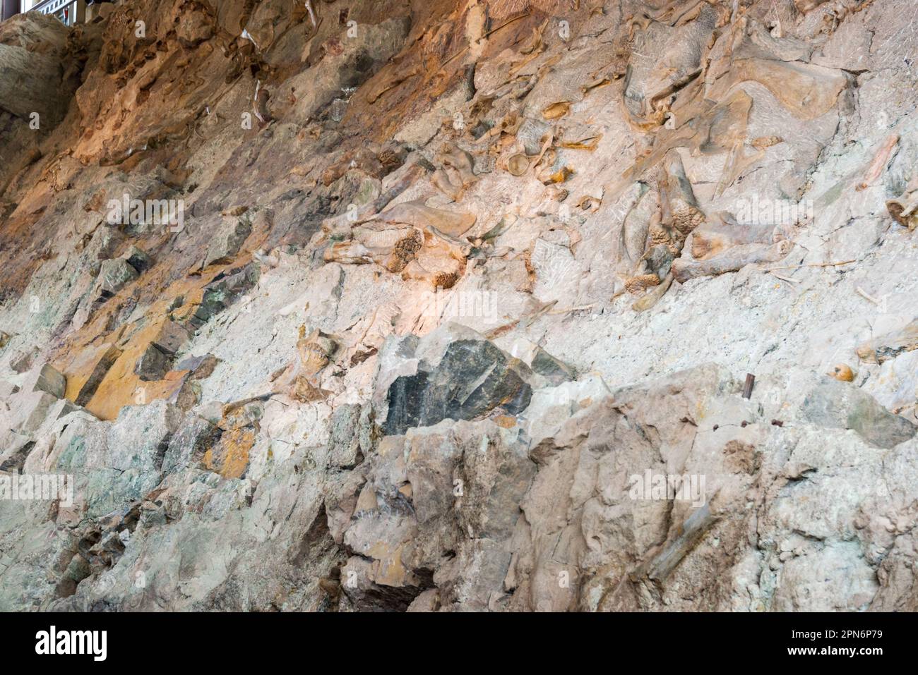 Dinosaur National Monument in Colorado Stock Photo - Alamy