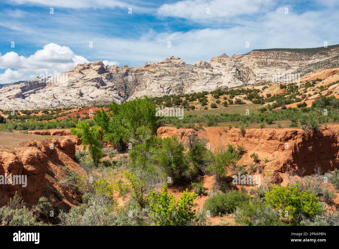 Dinosaur National Monument in Colorado Stock Photo - Alamy