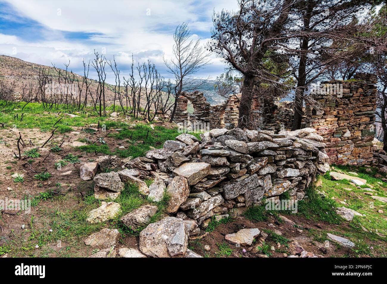 Frankish Church ruins hidden in Penteli mountain, Attica, Greece. The ...