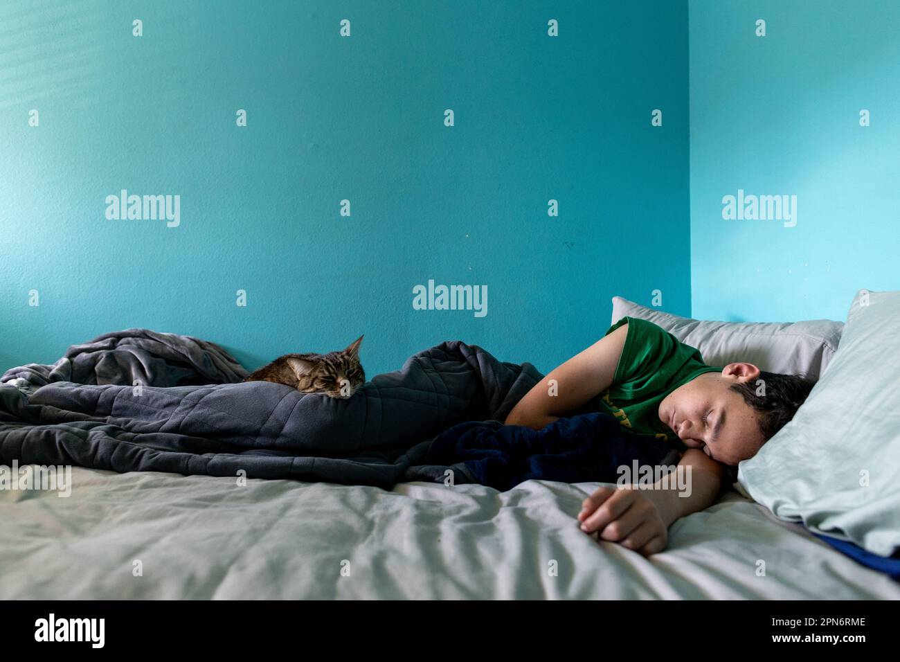 Teen Boy Asleep With His Tabby Cat Stock Photo - Alamy
