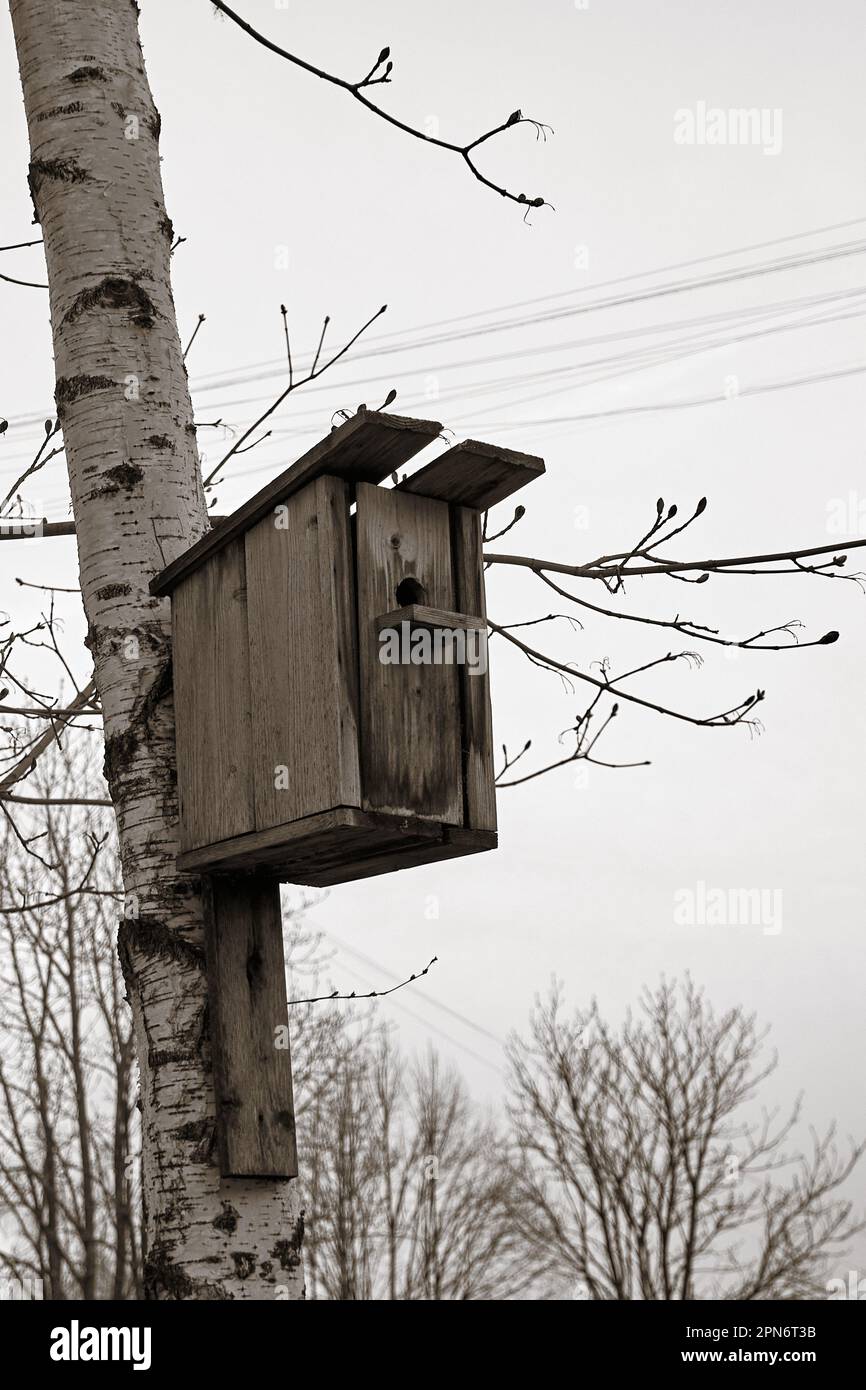Old birdhouse hi-res stock photography and images - Alamy