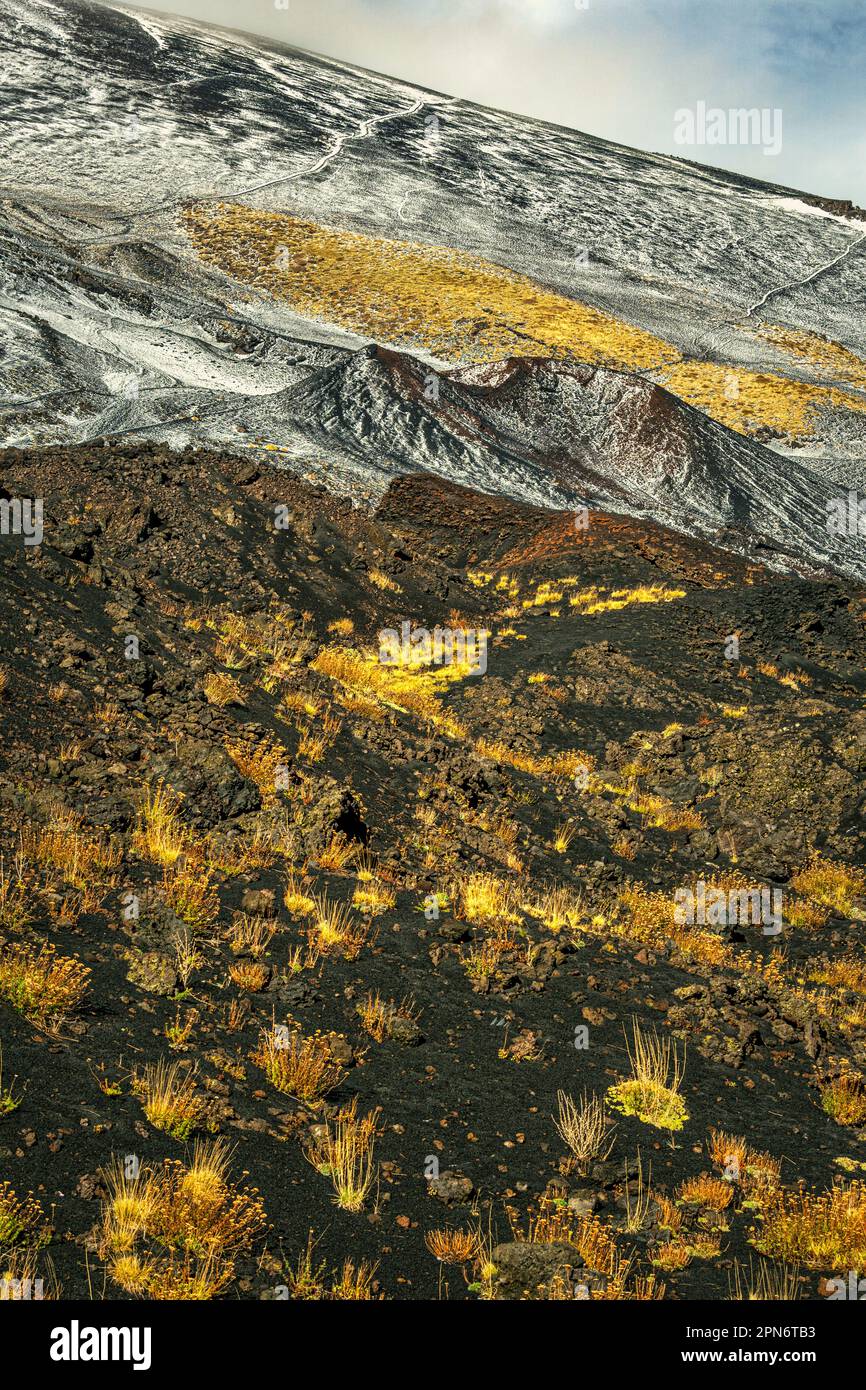 Hills of the lava flow on the slopes of the Etna volcano with the ...