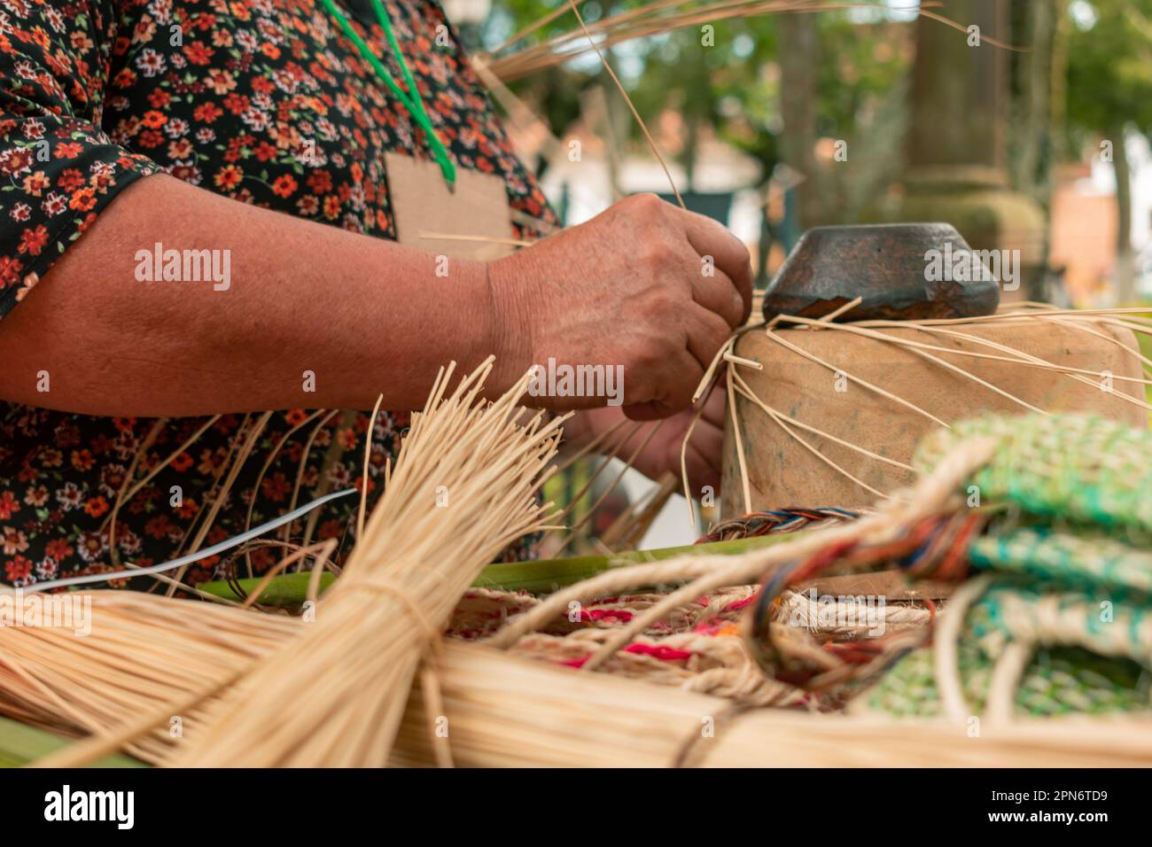 detail of the hands of a Colombian artisan weaving a hat Stock Photo ...