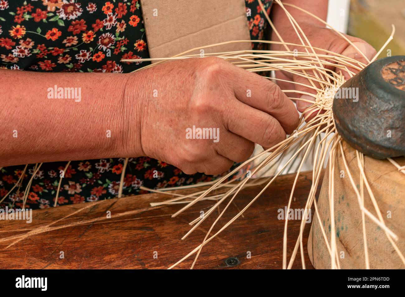 detail of the hands of a Colombian artisan weaving a hat Stock Photo ...