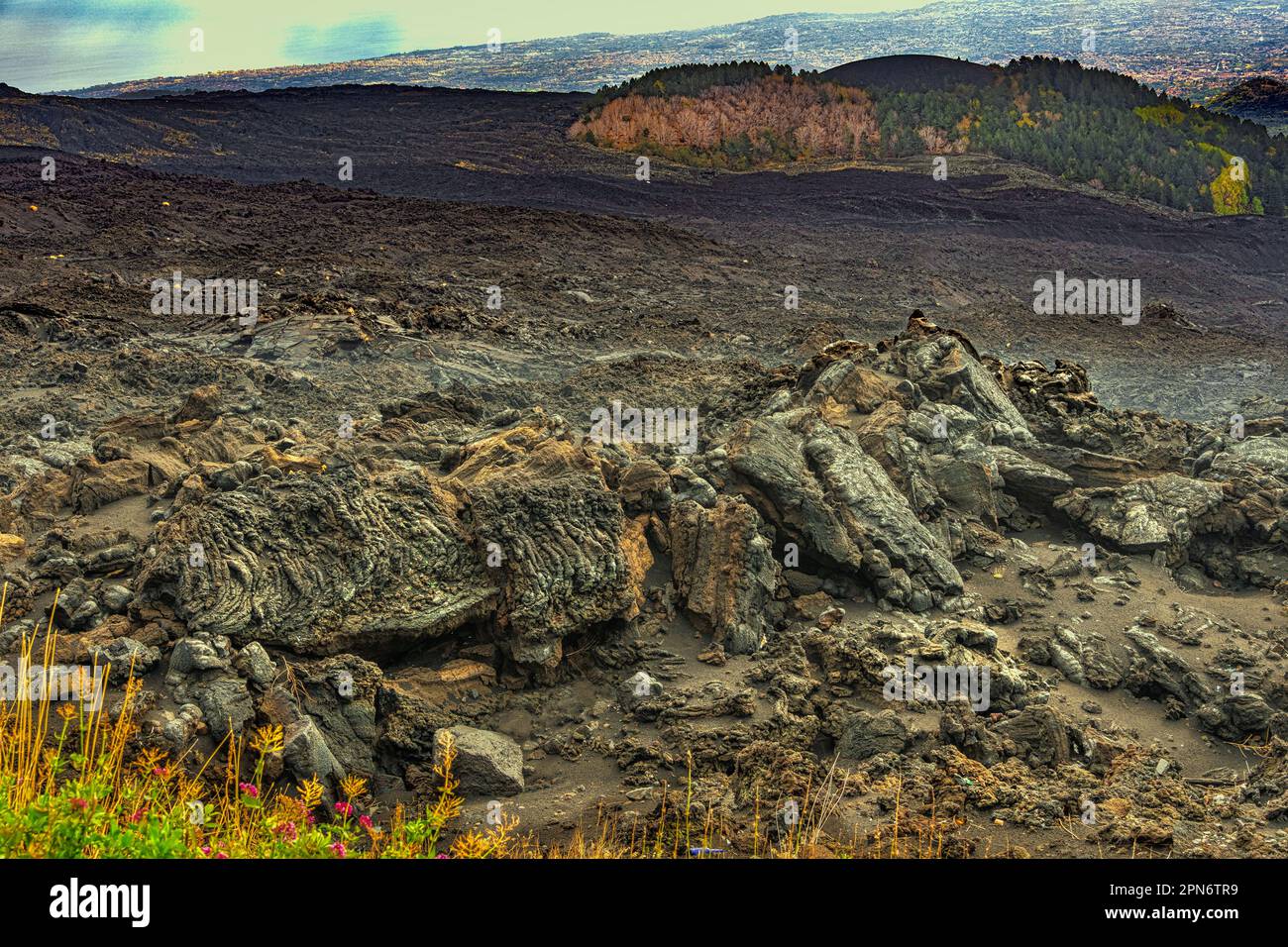 Landscapes of the lava fields remains of the lava eruptions of the Etna ...