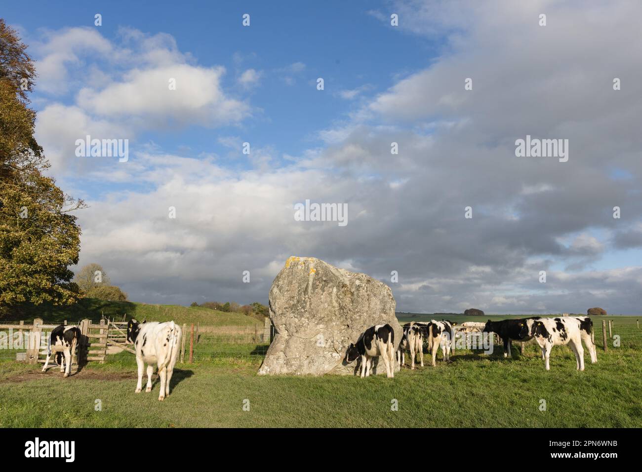 Avebury henge and stone circles on the 11th November 2022 in Avebury ...