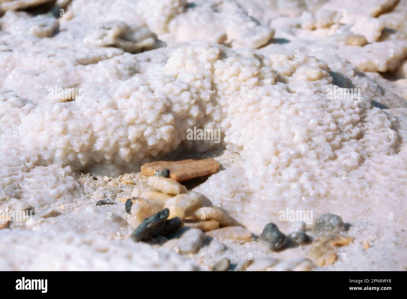 Close-up of Dead Sea salt mineral natural formation crystals in Jordan ...