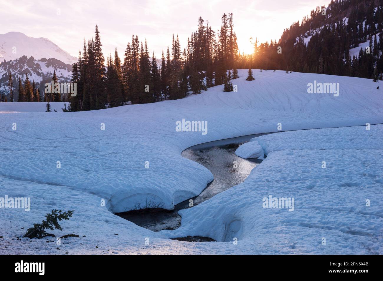 Early spring in mountains.Mt Rainier National Park, USA, Washington ...