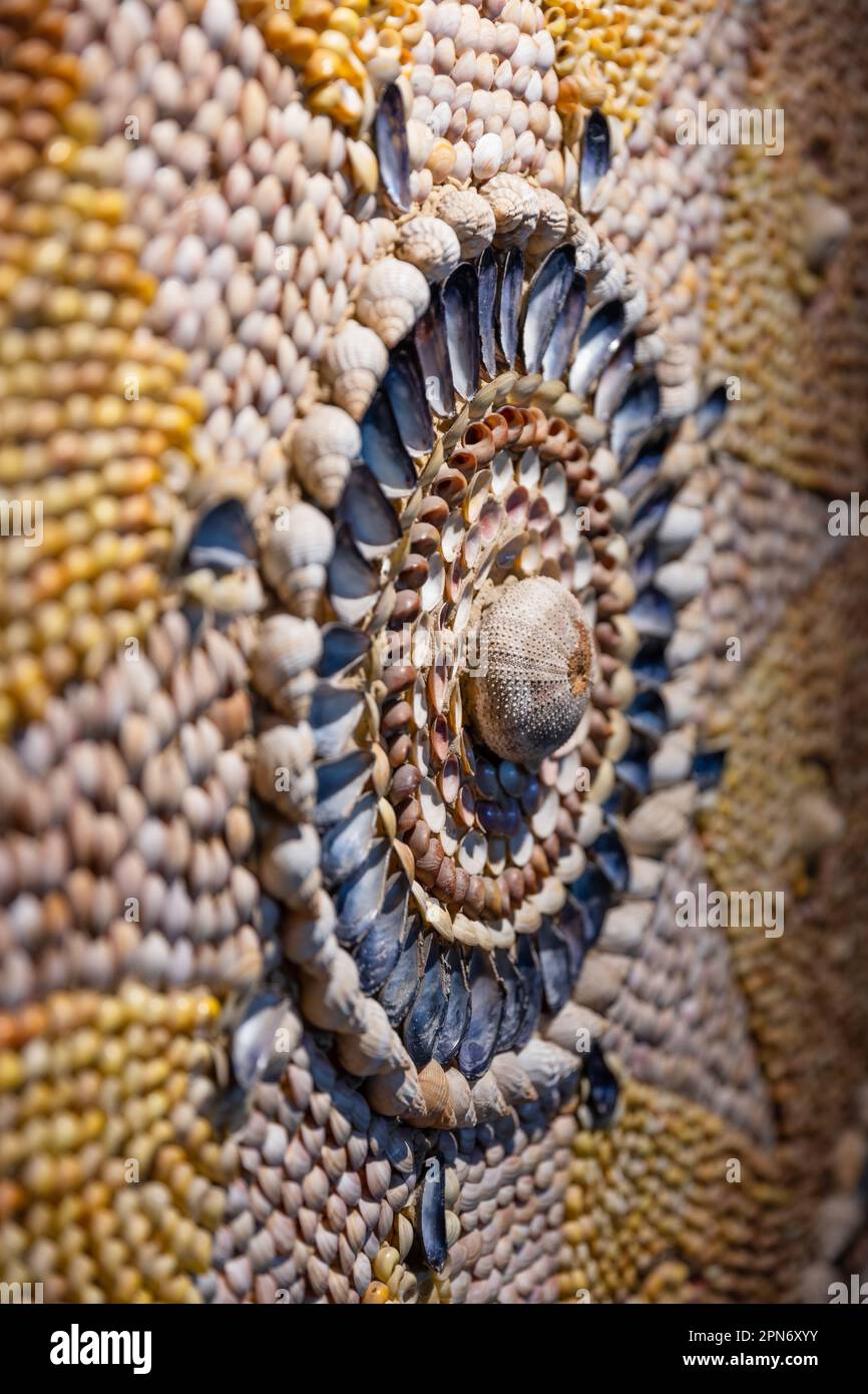 Margate shell grotto hi-res stock photography and images - Alamy
