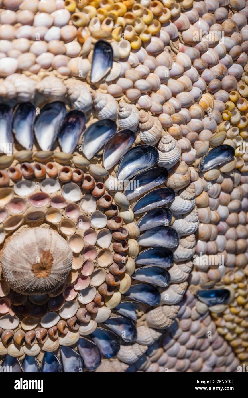 Margate shell grotto hi-res stock photography and images - Alamy
