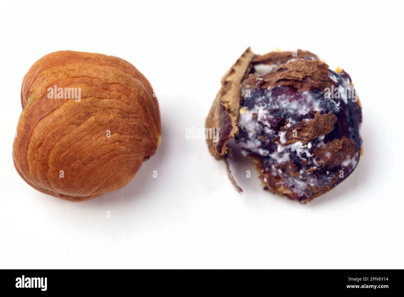Spoiled product Cut Out Stock Images & Pictures - Alamy