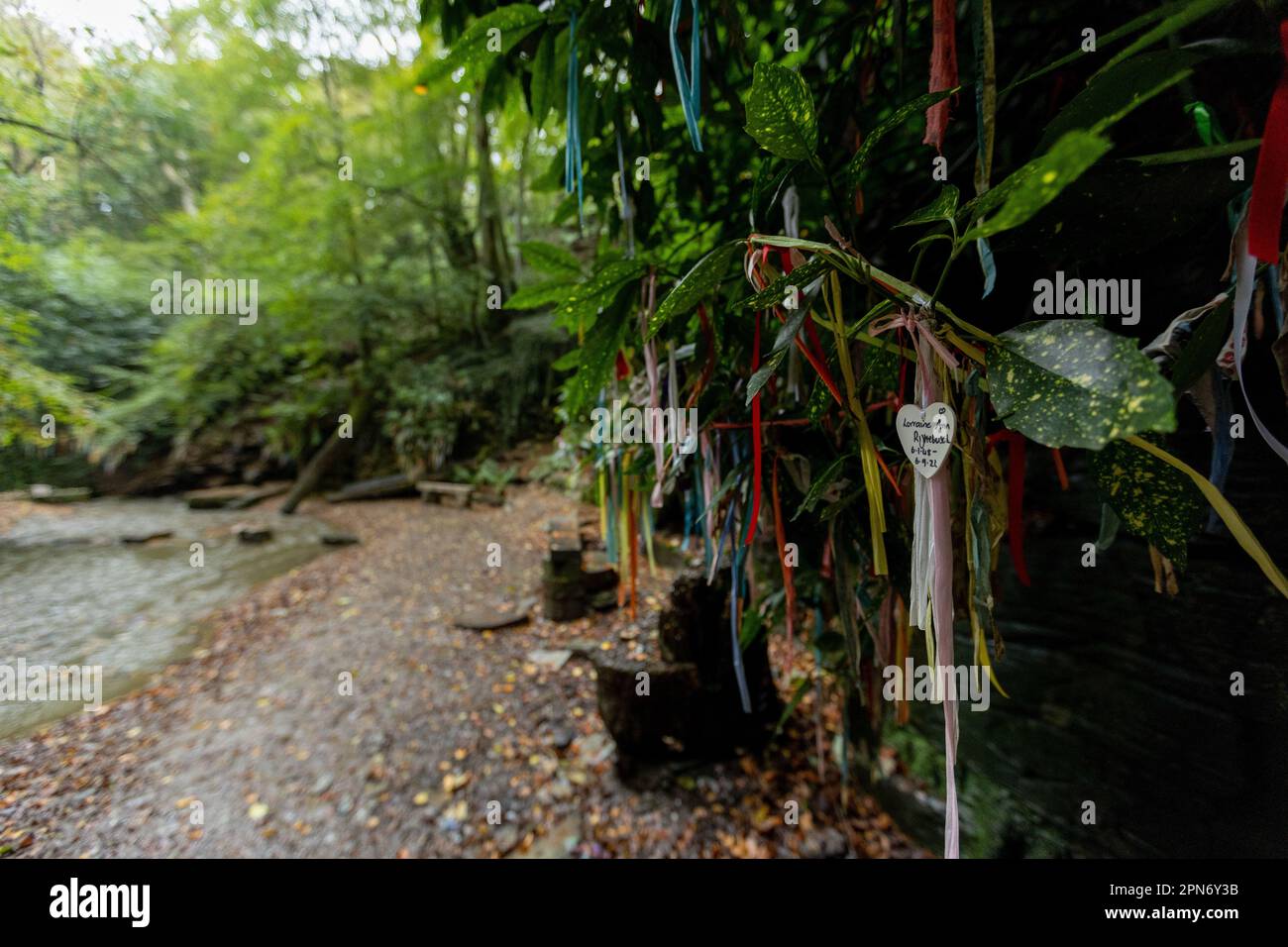St Nectan’s Glen on the 20th October 2022 in Trethevy, Cornwall ...