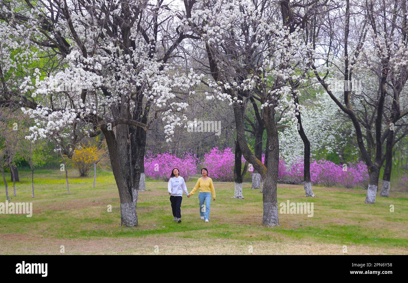 Shenyang expo garden hi-res stock photography and images - Alamy