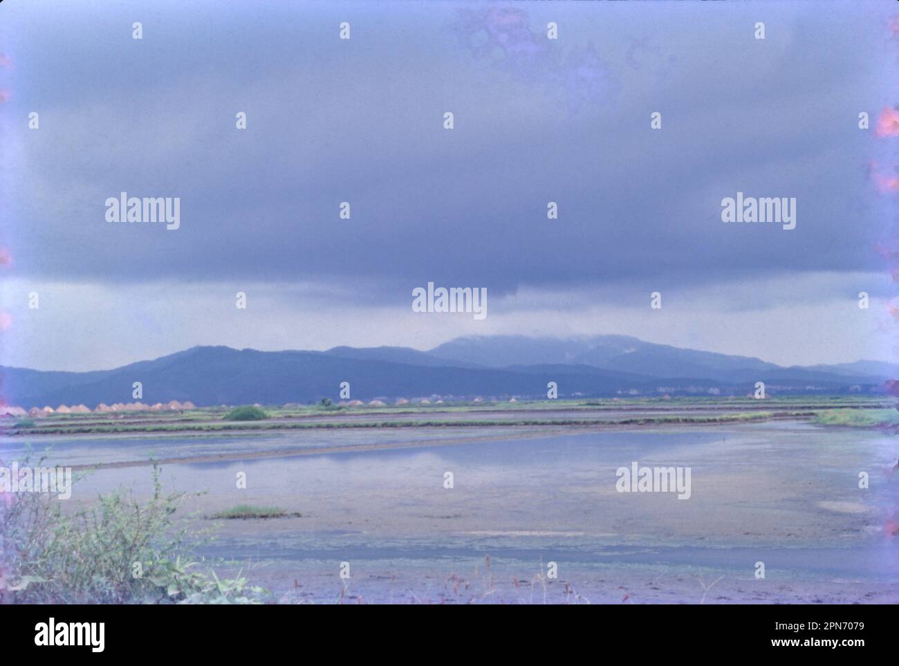 Landscape with Salt Pans at Vasai, Maharashtra, India Stock Photo - Alamy