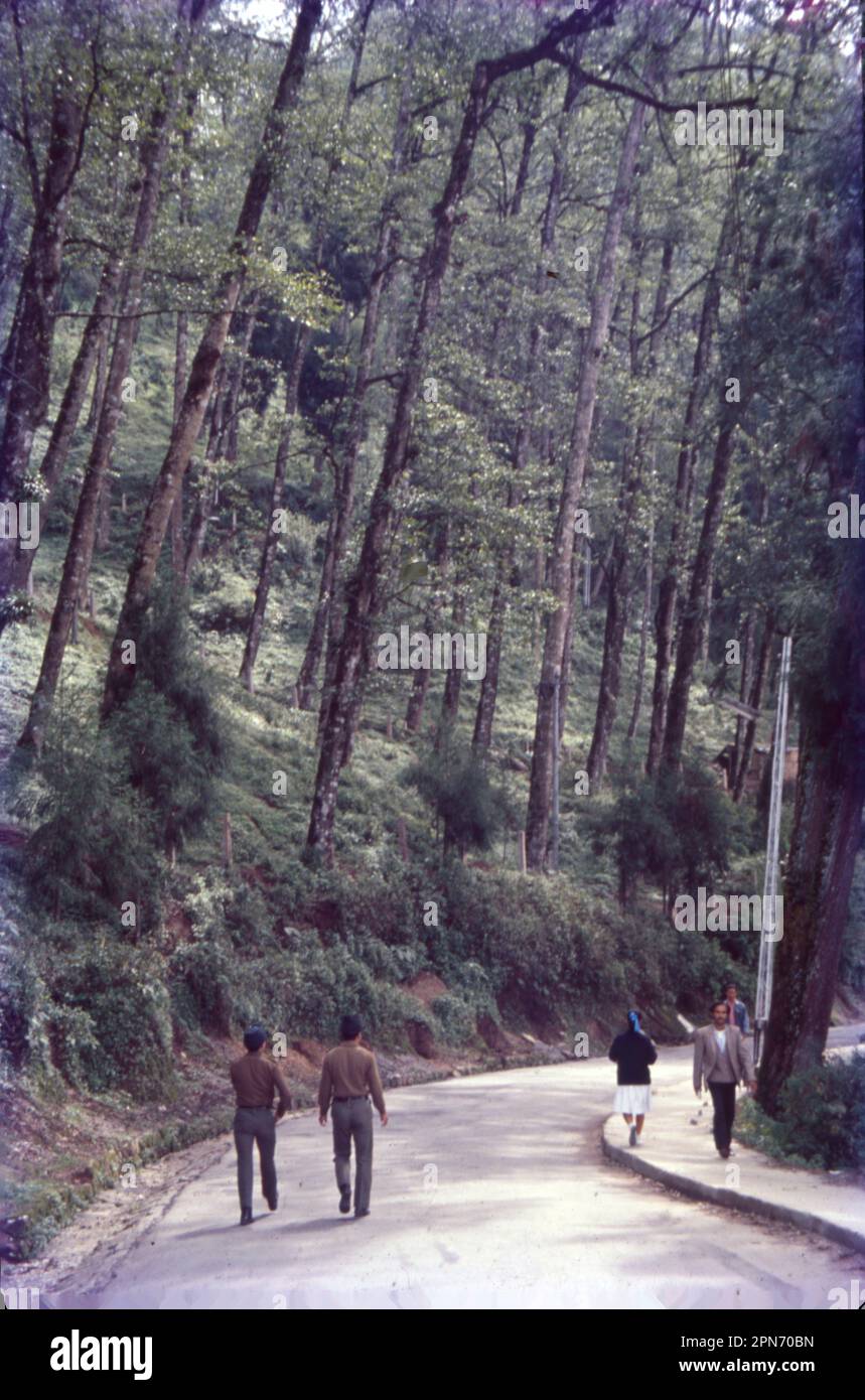 Gangtok is the capital of the mountainous northern Indian state of ...