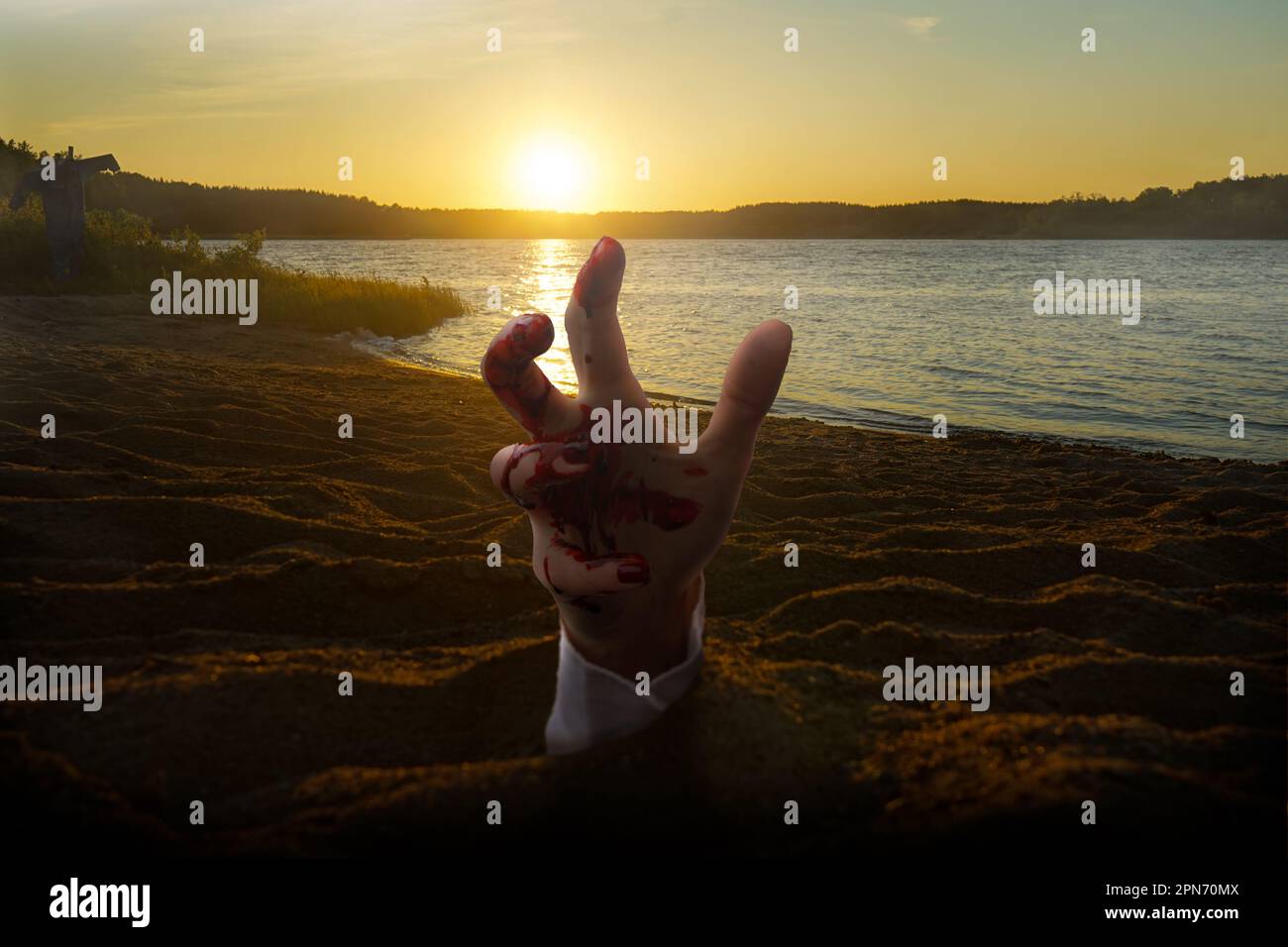 Bloody hand rises from the sand at a beach Stock Photo - Alamy