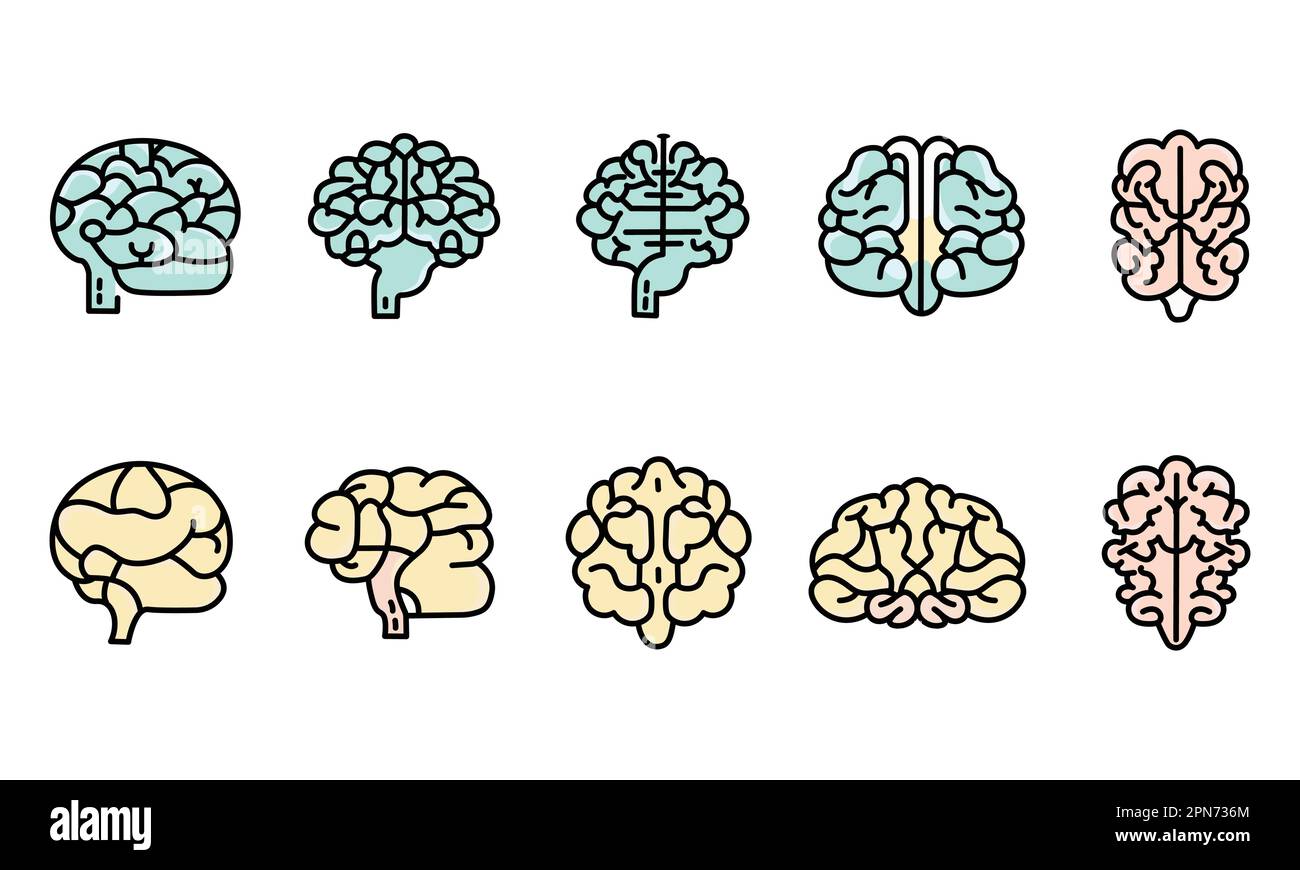 Different View Of Colorful Brains Element Set Stock Vector Image And Art